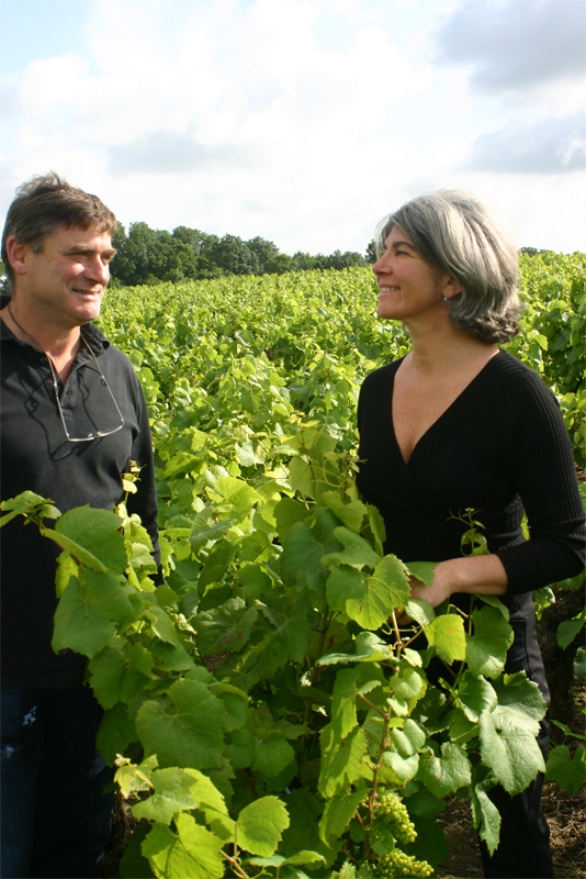 Notre Vignoble - Vignoble Domaine de la Grange